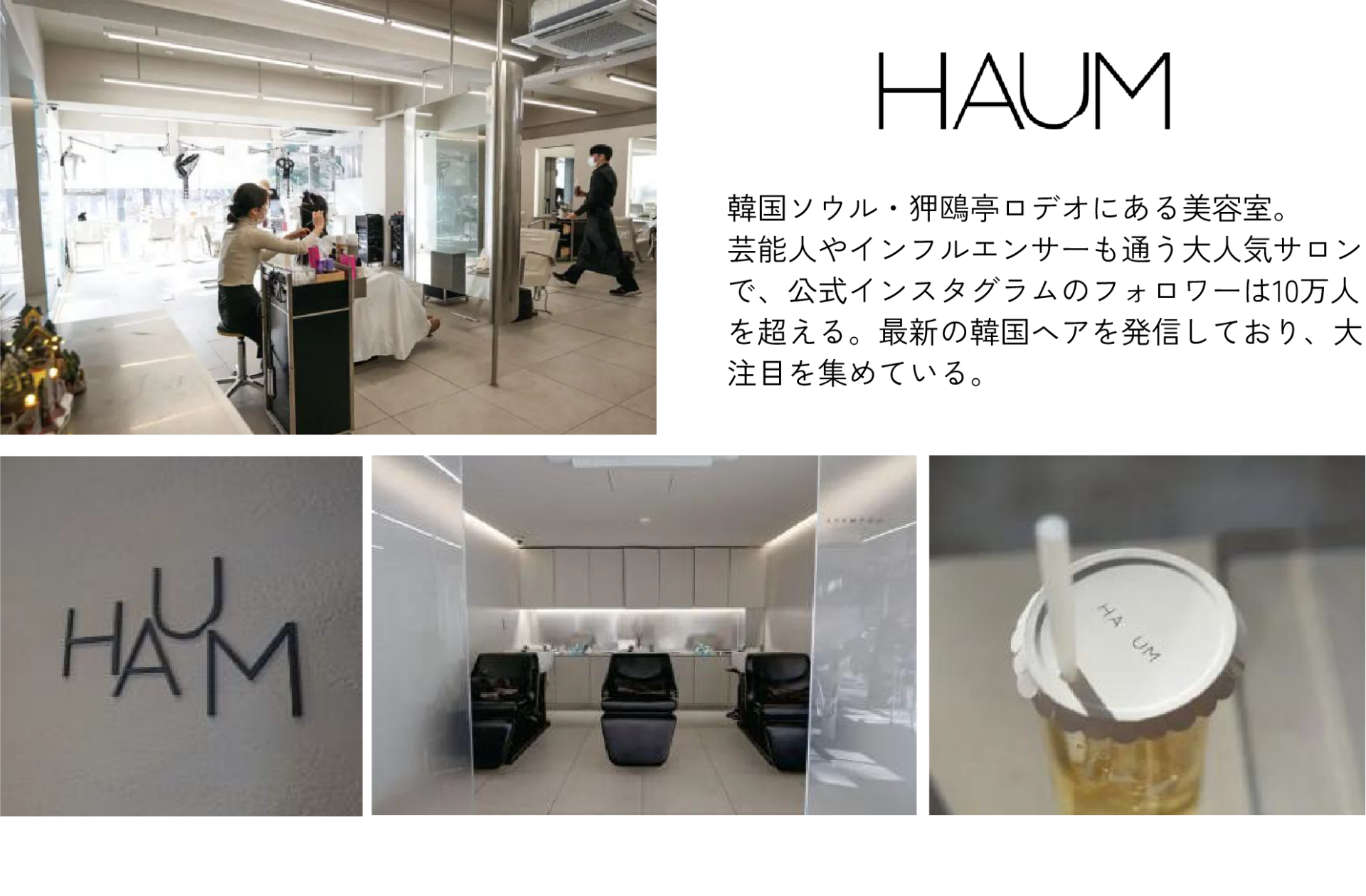 Concept – HAUM公式